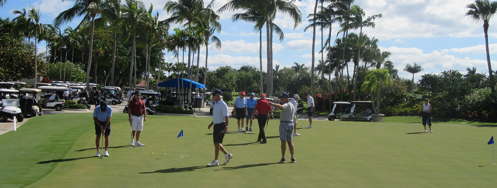 Blogs - The Polo Club